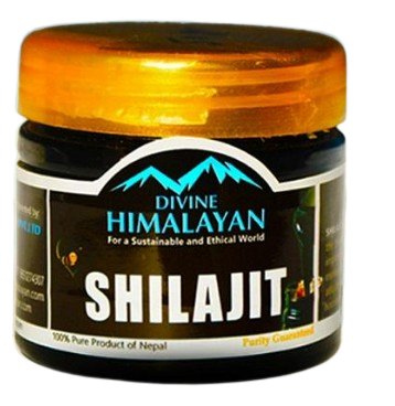 DIVINE Pure Himalayan Shilajit 40g (Product of Nepal) – IndianMarket
