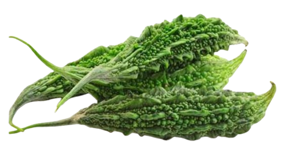 Fresh Karela (Bitter Gourd) 400g – IndianMarket