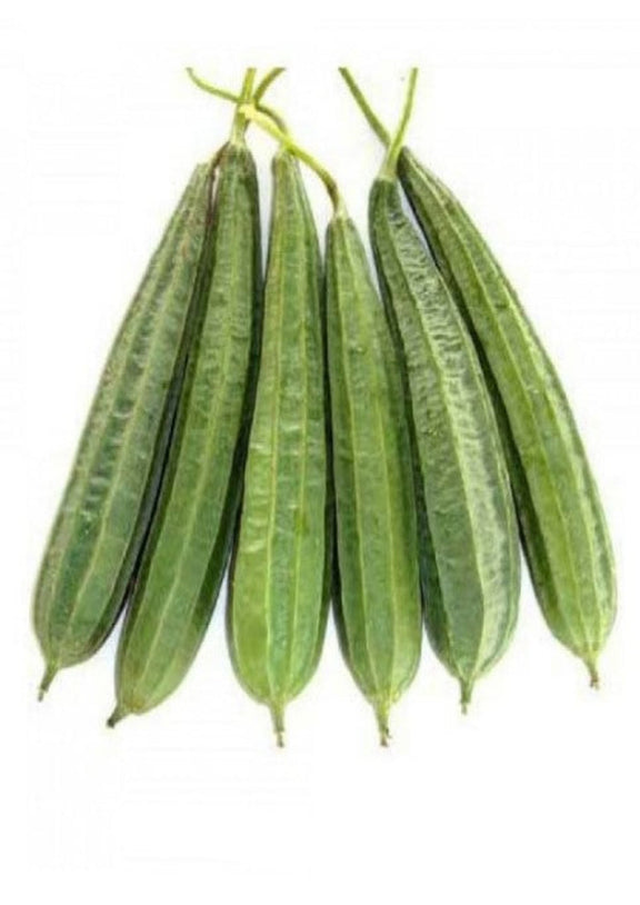 Fresh Turai (Ghiraula) 400g (approx) – IndianMarket